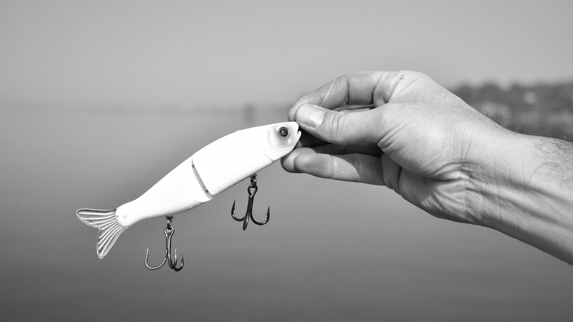 Terminator Tackle | Baits That Optimise Your Fishing Time